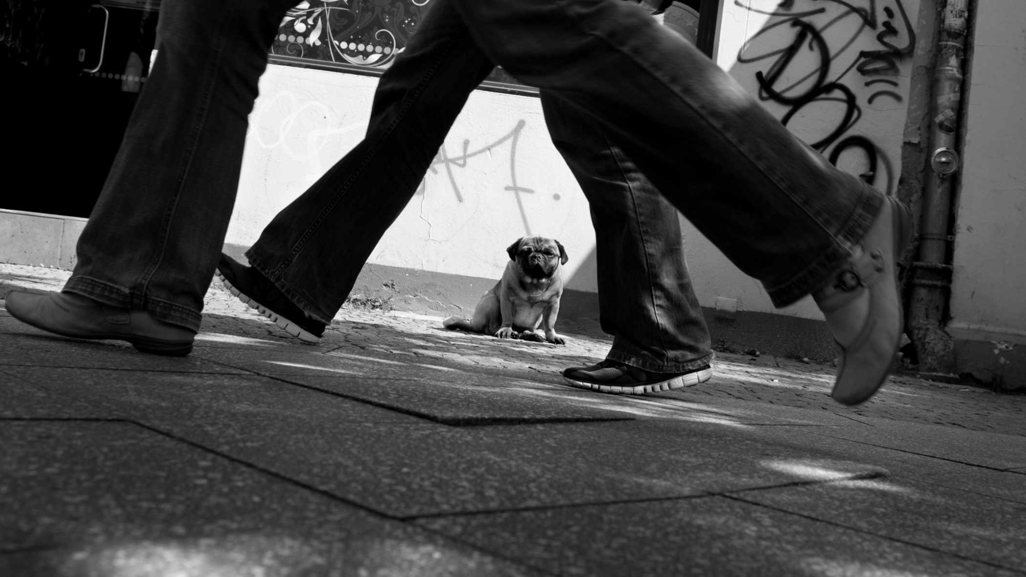 Stilhed og bevidsthed – Jes Roger Petersen