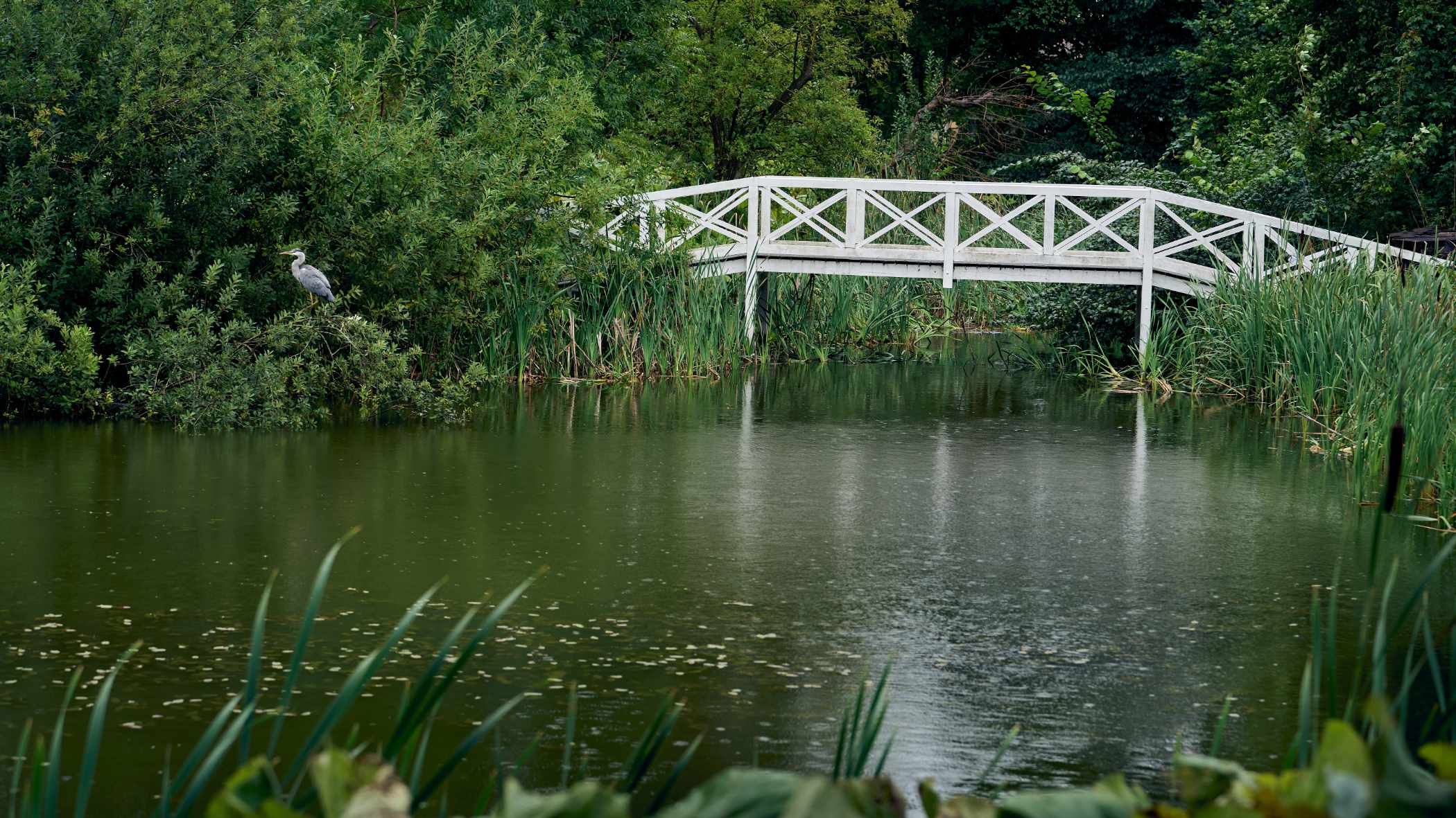 A-kassen, Anders And og Karen Blixen – Jes Roger Petersen