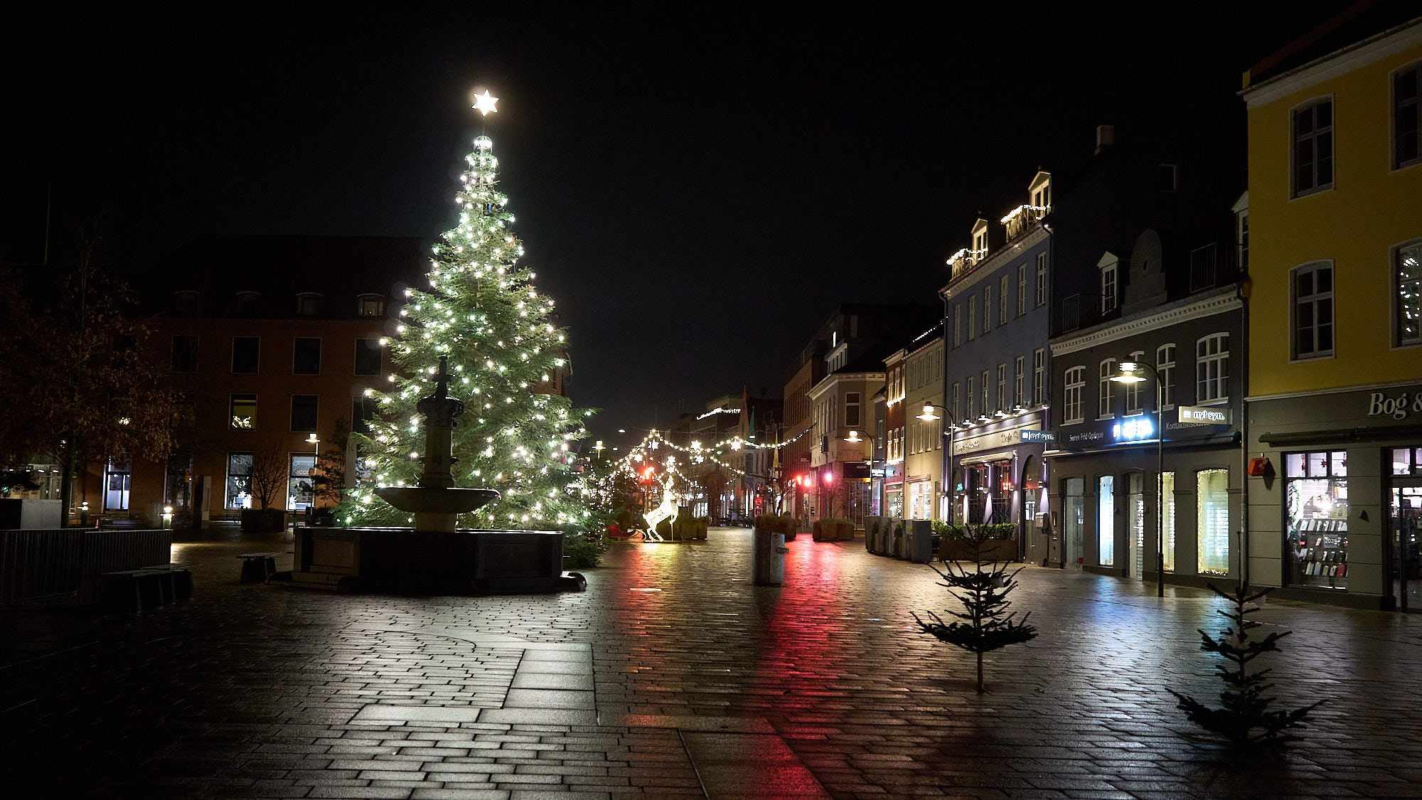 Bange for hunde – Jes Roger Petersen